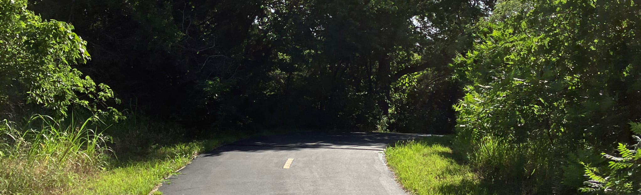 Mitch Park Trail: 673 Reviews, Map - Oklahoma | AllTrails