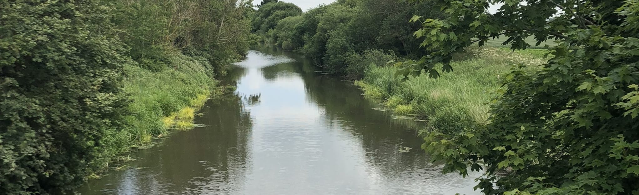 Gateforth Circular, North Yorkshire, England - 21 Reviews, Map | AllTrails