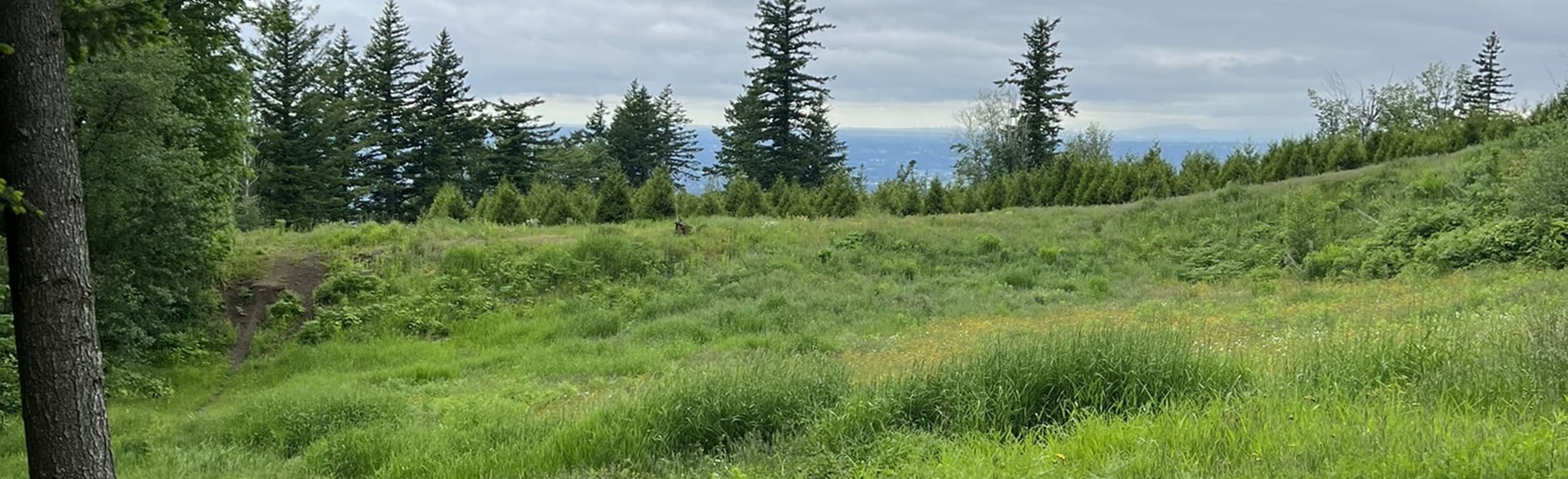 Ledgeview Extended Loop, British Columbia, Canada - 162 Reviews, Map ...