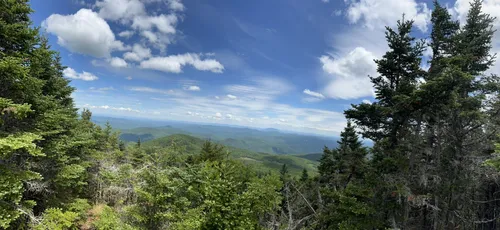 Best Forest Trails in Calvin Coolidge State Forest | AllTrails
