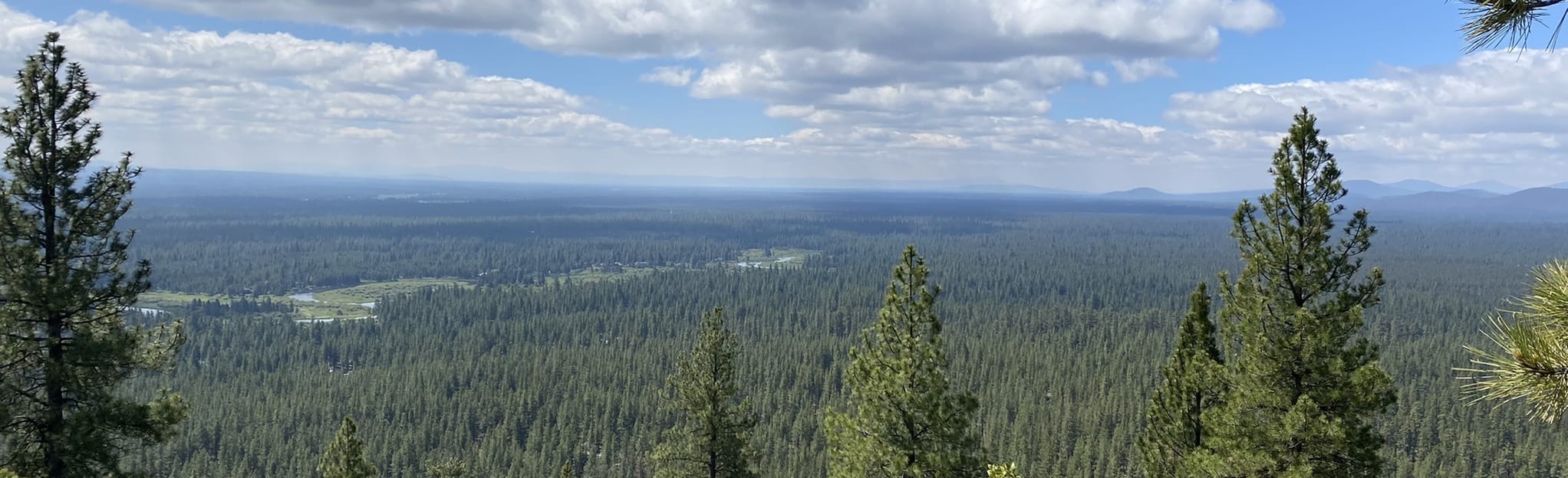 Bates Butte Trail: 84 Reviews, Map - Oregon | AllTrails