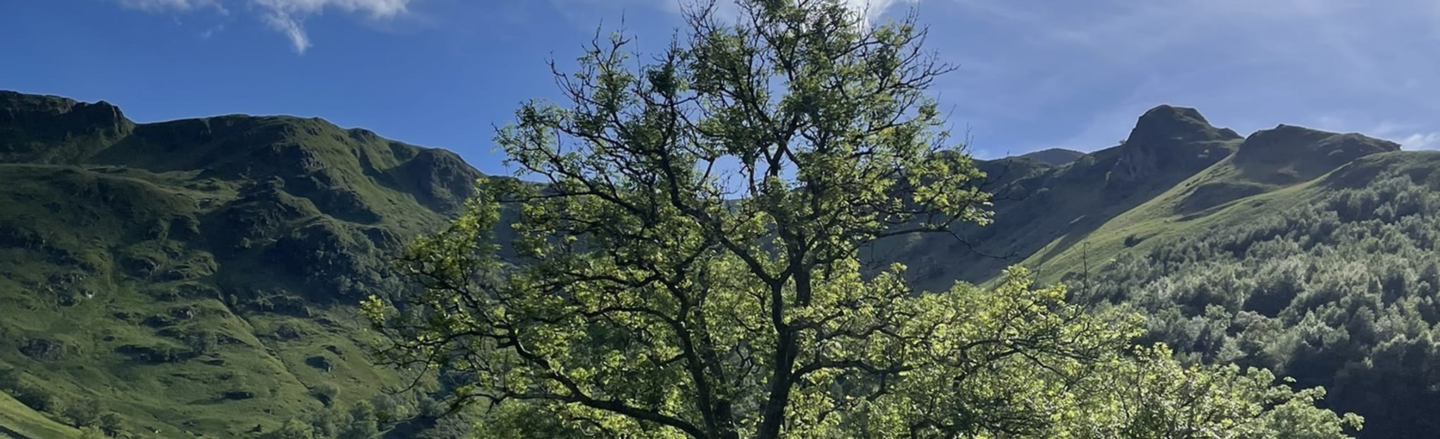 Dove Crag and the Priests Cave - Cumbria, England | AllTrails