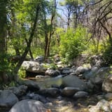 Boulder Creek Falls via Boulder Creek Trail, California - 140 Reviews ...