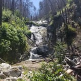 Boulder Creek Falls via Boulder Creek Trail, California - 140 Reviews ...
