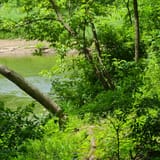 Red Cedar State Trail, Wisconsin - 215 Reviews, Map | AllTrails