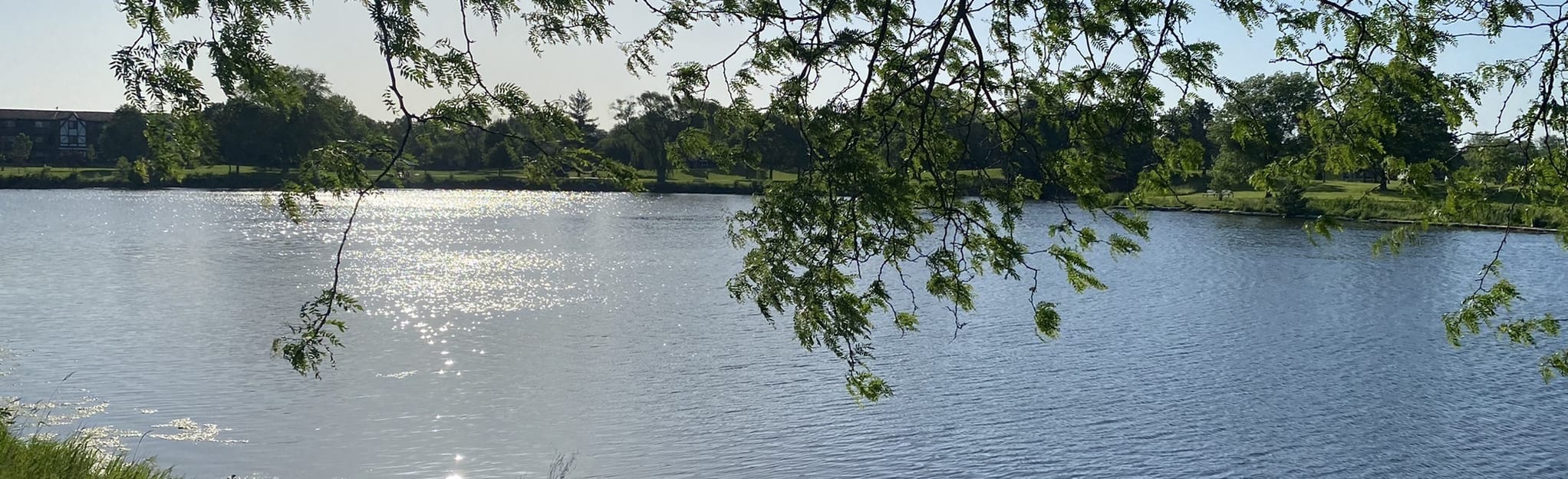 Century Park Loop | Map, Guide - Illinois | AllTrails