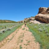 Johnny Behind the Rocks Trail, Wyoming - 106 Reviews, Map | AllTrails