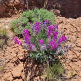 Johnny Behind the Rocks Trail, Wyoming - 106 Reviews, Map | AllTrails