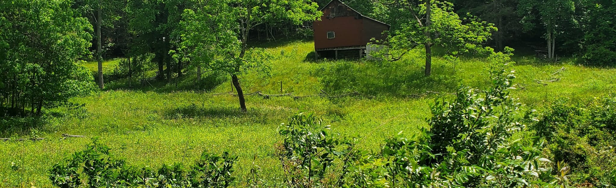 John Litton Farm Loop, Tennessee - 266 Reviews, Map | AllTrails