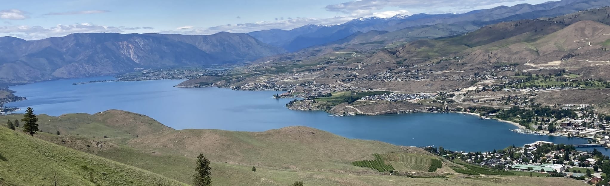 Chelan Butte Trail, Washington - 611 Reviews, Map | AllTrails