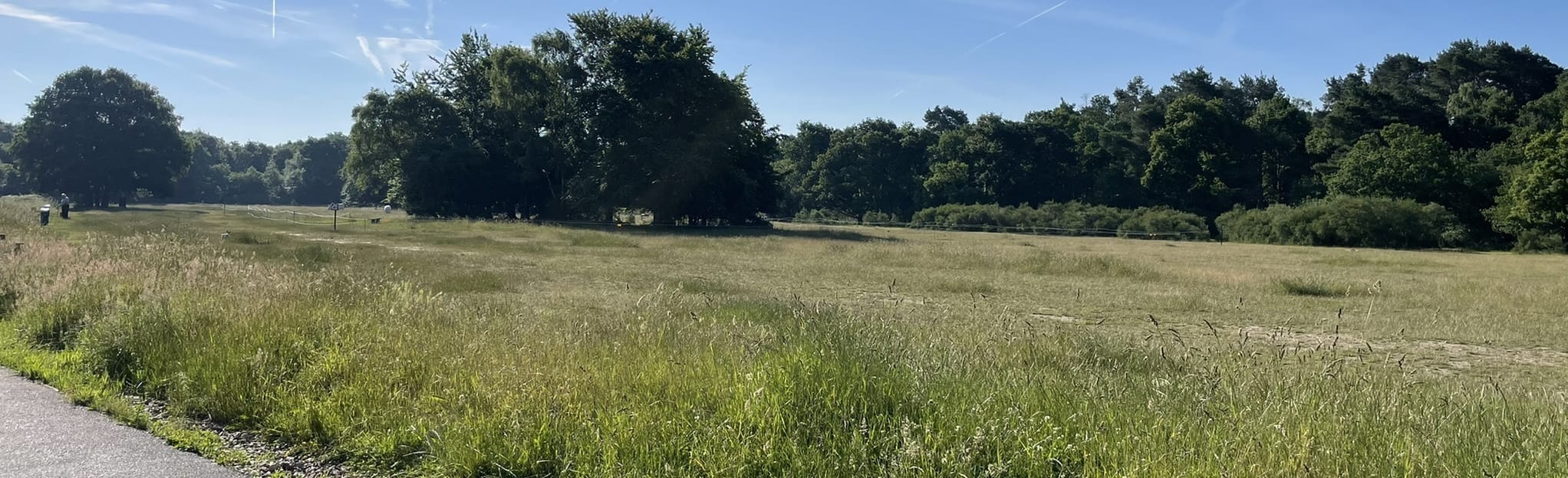 Burnham Walk and Victoria Drive Circular, Berkshire, England - 67 ...