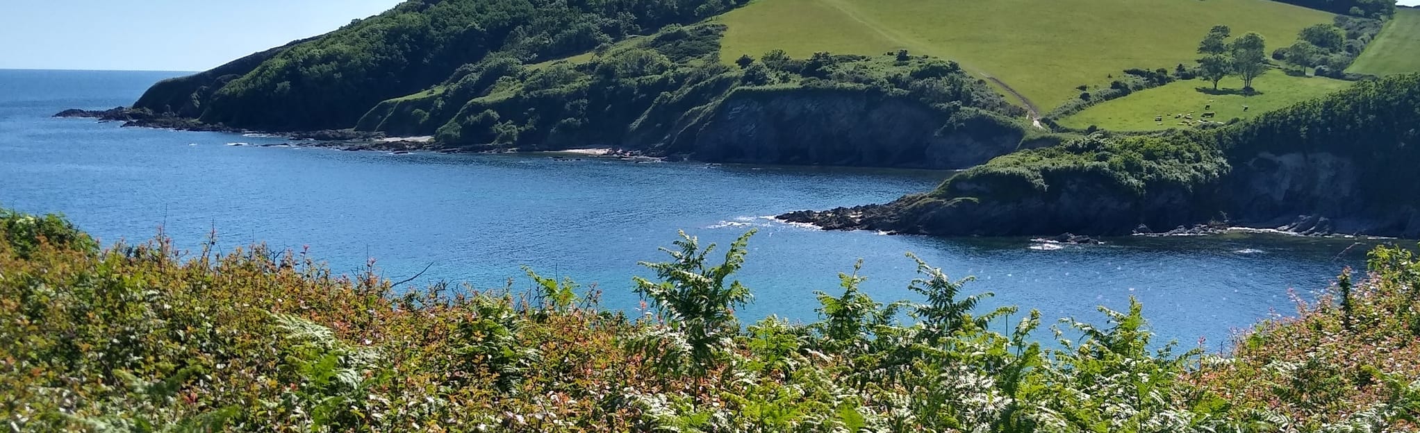 Castle Fields, Covington Woods and Coast Walk from Fowey Harbour: 19 ...