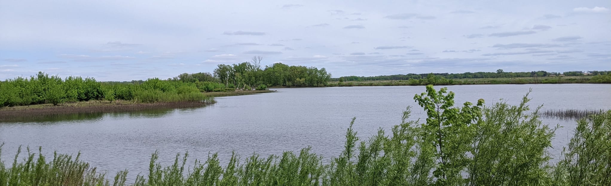 Sweet Marsh WMA Trail, Iowa - 5 Reviews, Map | AllTrails