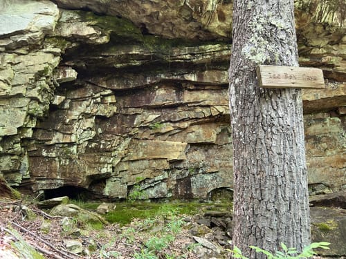 Best Hikes and Trails in Comer Scout Reservation | AllTrails