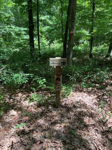 Best Hikes and Trails in Comer Scout Reservation | AllTrails