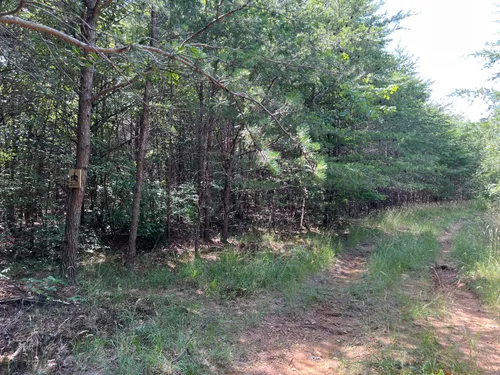 Best Hikes and Trails in Comer Scout Reservation | AllTrails