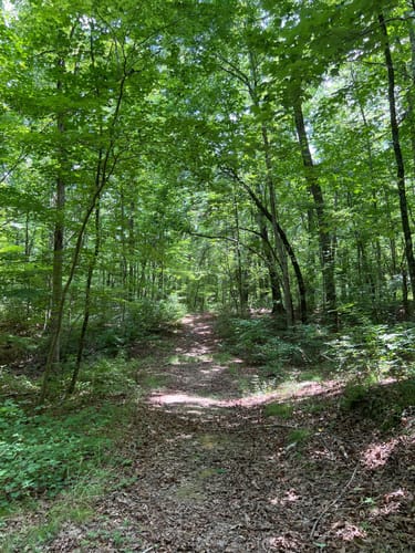 Best Hikes and Trails in Comer Scout Reservation | AllTrails