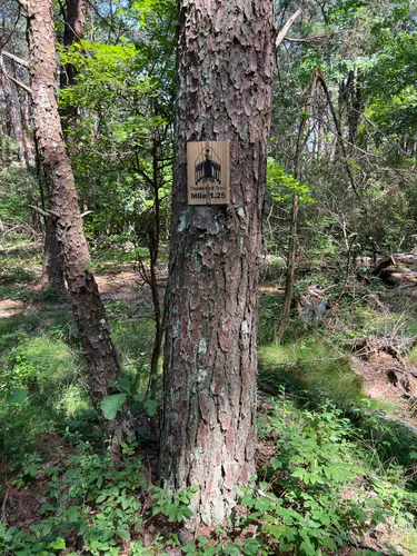 Best Hikes and Trails in Comer Scout Reservation | AllTrails