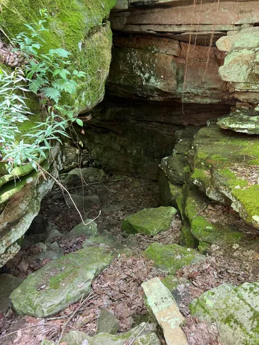 Best Hikes and Trails in Comer Scout Reservation | AllTrails