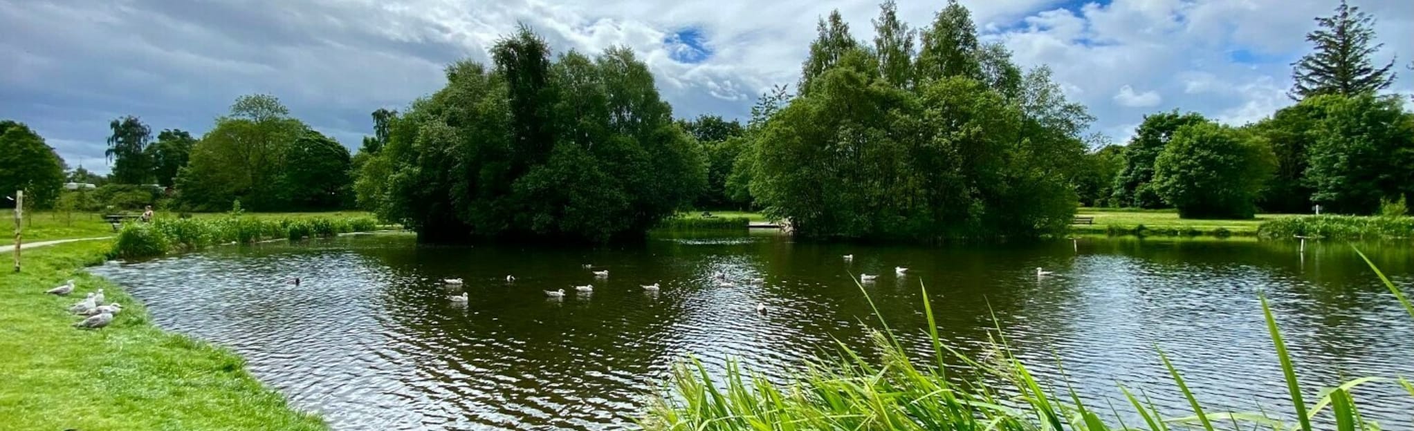 Turriff and Wrae Pond Circular, Aberdeenshire, Scotland - 4 Reviews ...