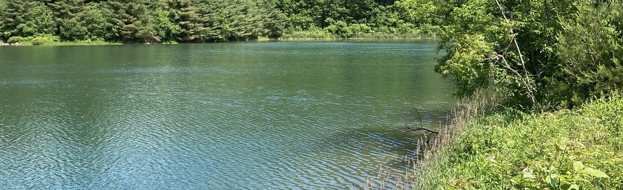 Saco River Trail, New Hampshire - 492 Reviews, Map | AllTrails