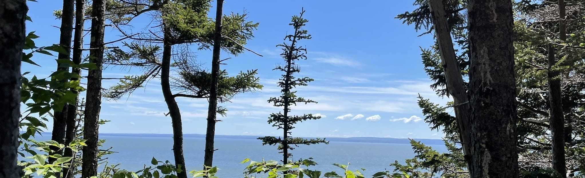 Coppermine Trail, New Brunswick, Canada - 273 Reviews, Map | AllTrails