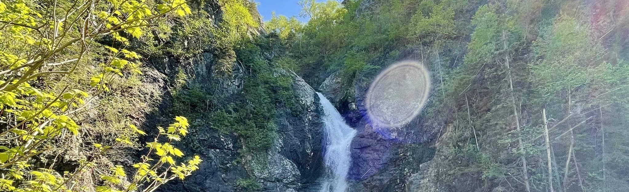 Copper Mine Falls Trail - Newfoundland and Labrador, Canada | AllTrails