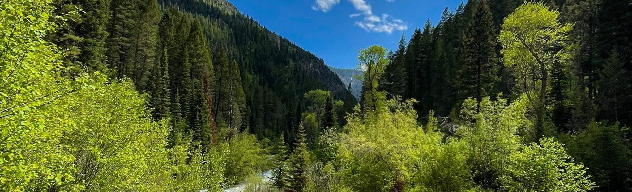 Palisades Creek Trail to Lower Palisades Lake: 807 Reviews, Map - Idaho ...