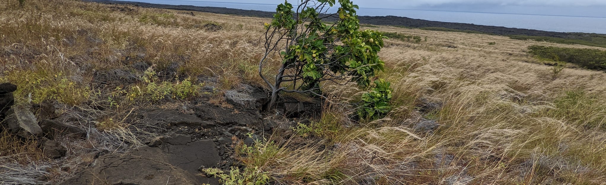 Puna Kau Trail to Hilina Pali Trail: 3 Reviews, Map - Hawaii, Hawaii ...