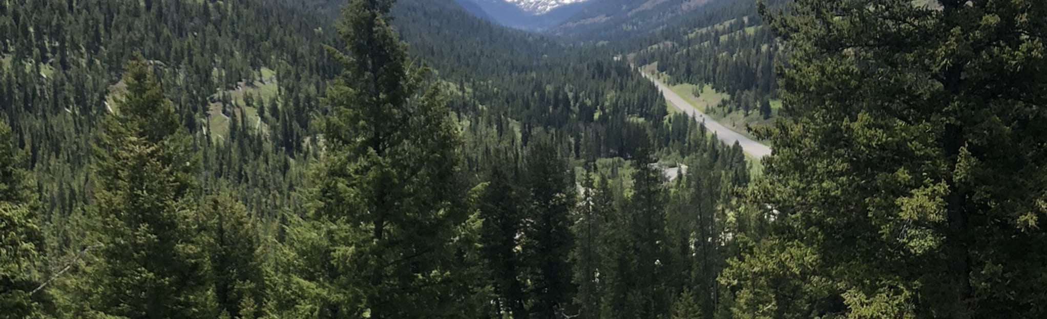 Pahaska Tepee to Sam Berry Meadow: 23 Reviews, Map - Wyoming | AllTrails