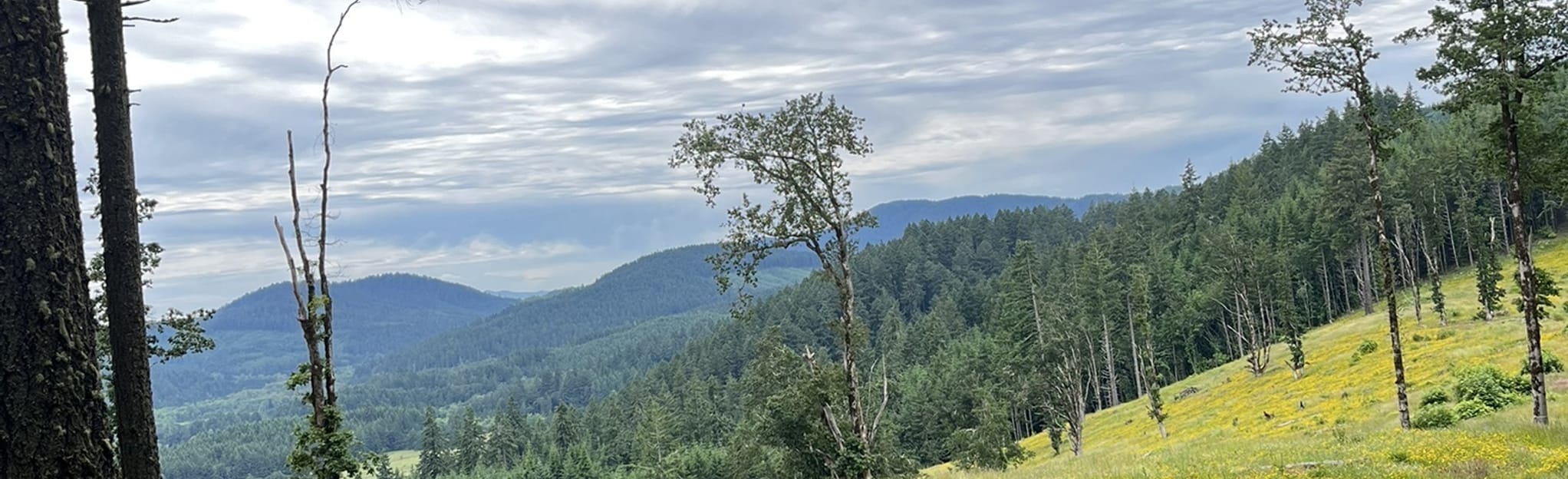 420, 300, and 400 Trails Loop [CLOSED], Oregon - 187 Reviews, Map ...