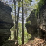 Panther Run Trail, Pennsylvania - 78 Reviews, Map | AllTrails