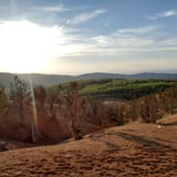 Twisted Forest, Utah - 158 Reviews, Map | AllTrails