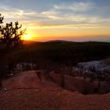 Twisted Forest, Utah - 158 Reviews, Map | AllTrails