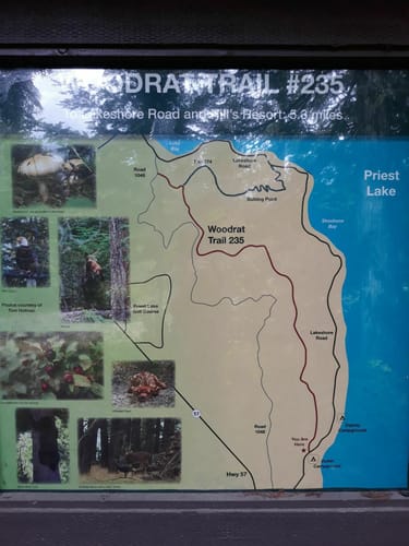 Best Hikes and Trails in Priest Lake | AllTrails