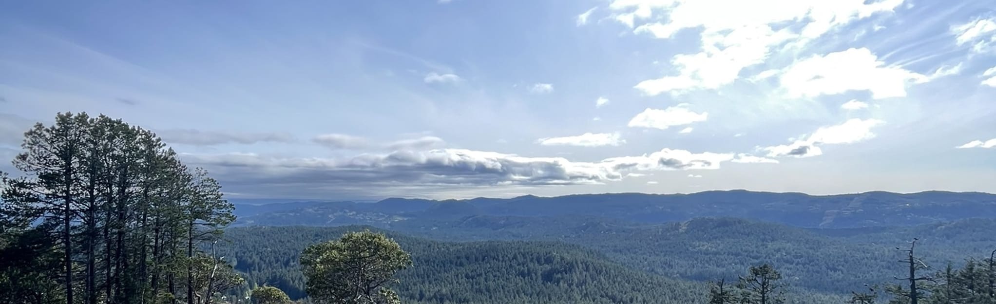 Mount Work from Munn Road Trailhead: 577 Reviews, Map - British ...