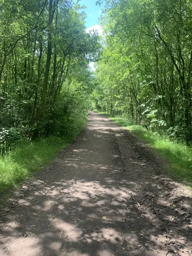 Best Hikes and Trails in Bateswood Nature Reserve | AllTrails