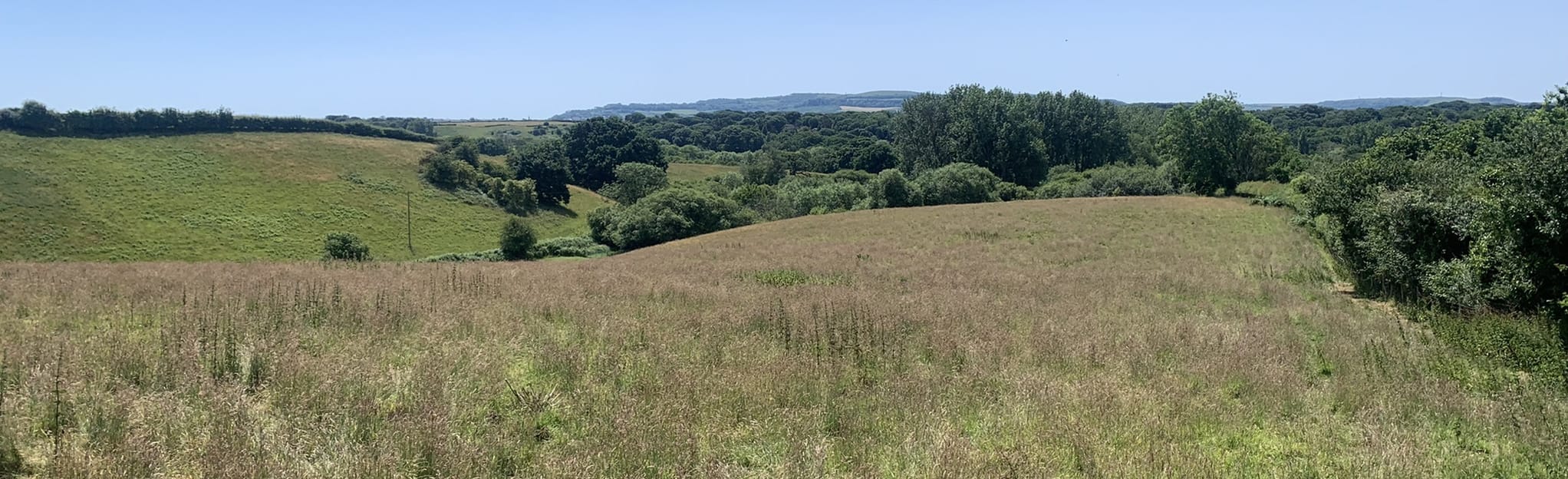 The Bembridge Trail, Isle of Wight, England - 5 Reviews, Map | AllTrails