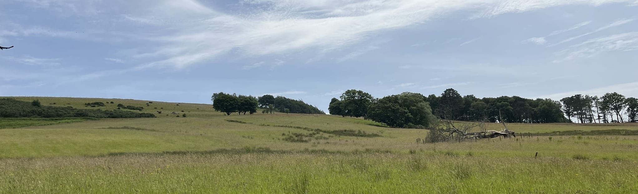 Gnoll Estate Country Park, Neath Port Talbot, Wales - 37 Reviews, Map ...