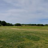 Bedfont Lakes Country Park Circular, Surrey, England - 32 Reviews, Map ...