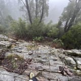 Wells Cave Track, Victoria, Australia - 32 Reviews, Map | AllTrails