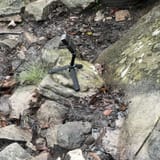 Wells Cave Track, Victoria, Australia - 32 Reviews, Map | AllTrails