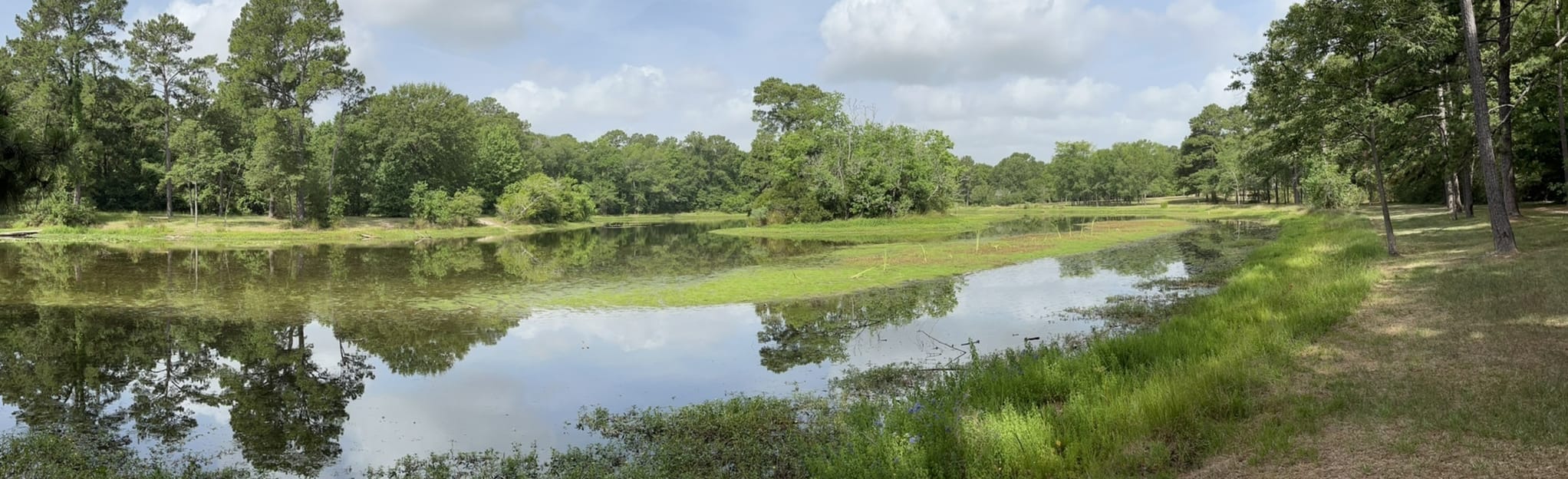 Laurel Crossing and Spring Creek Loop, Texas - 201 Reviews, Map | AllTrails