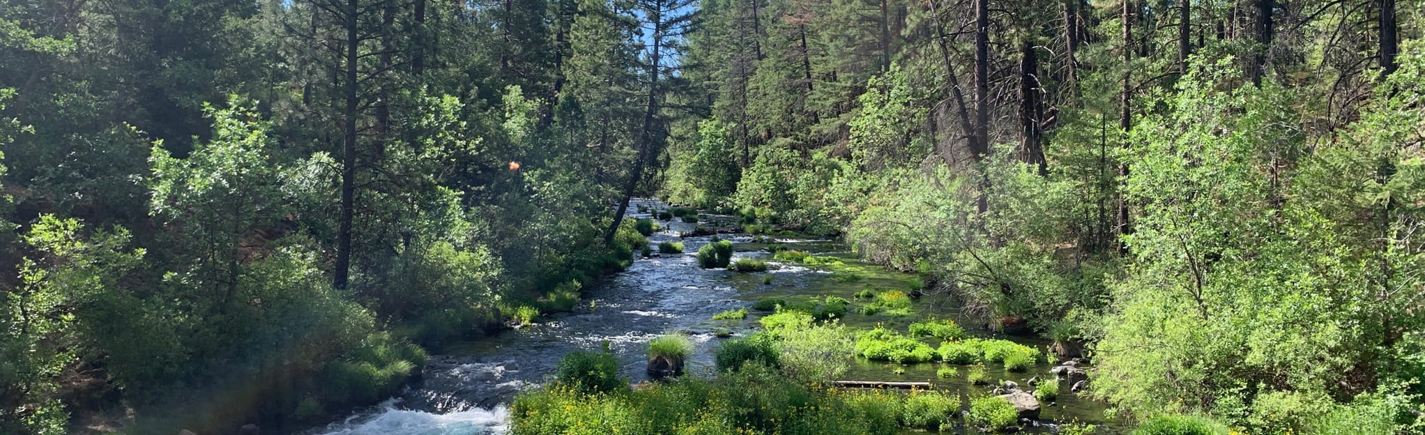 Burney Falls and the Burney Creek Headwaters Trail: 2.871 fotos ...