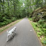 Windham Rail Trail, New Hampshire - 852 Reviews, Map | AllTrails