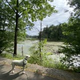 Windham Rail Trail, New Hampshire - 852 Reviews, Map | AllTrails