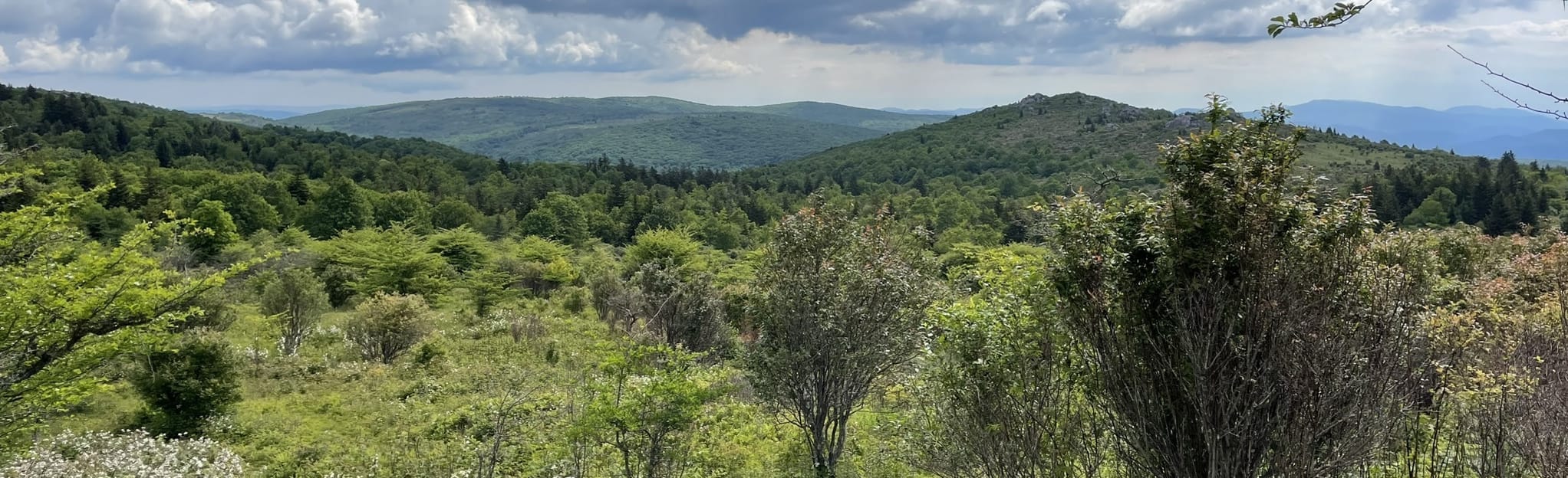 Mount Rogers and Appalachian Trail Loop | Map, Guide - Virginia | AllTrails