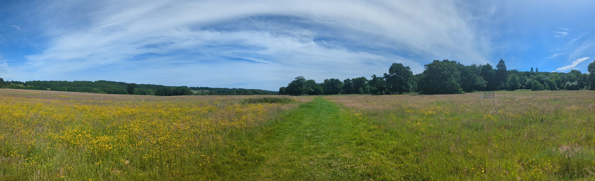 Parkland and Monuments from Castle Howard, North Yorkshire, England ...