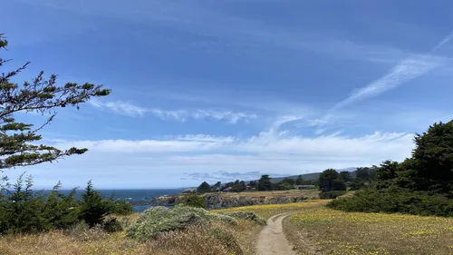 Best Hikes and Trails in Sea Ranch | AllTrails