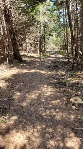 Best Hikes and Trails in Peter Barry Duff Memorial Park | AllTrails